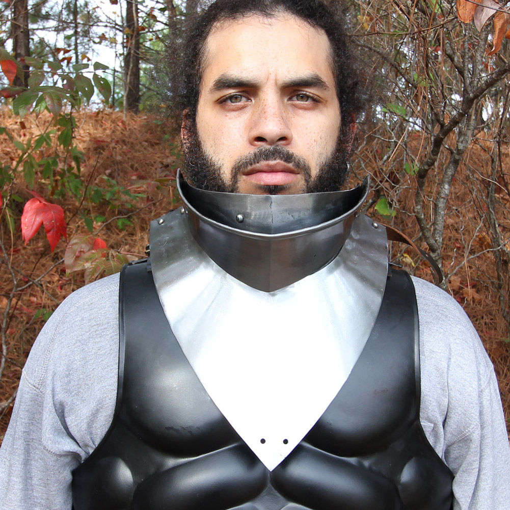 Champions 16g Bevor Plate Functional Armor