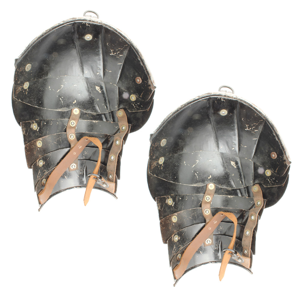 Medieval German Gothic Armor Pauldron